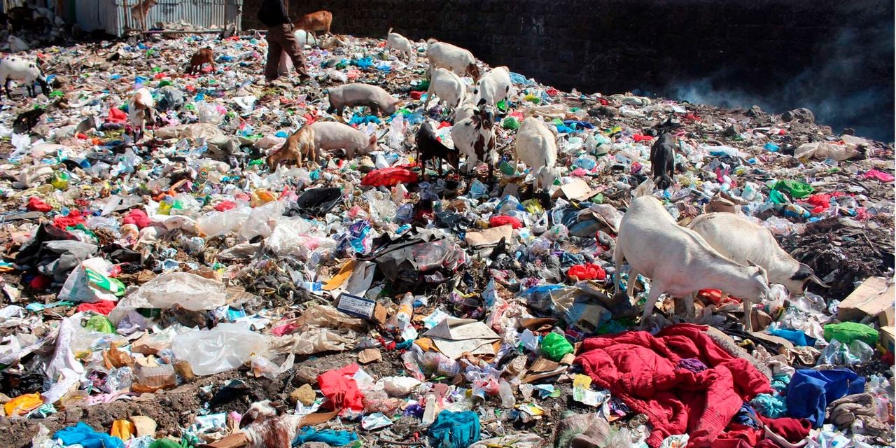 To end plastic pollution, we must strengthen policy frameworks ...