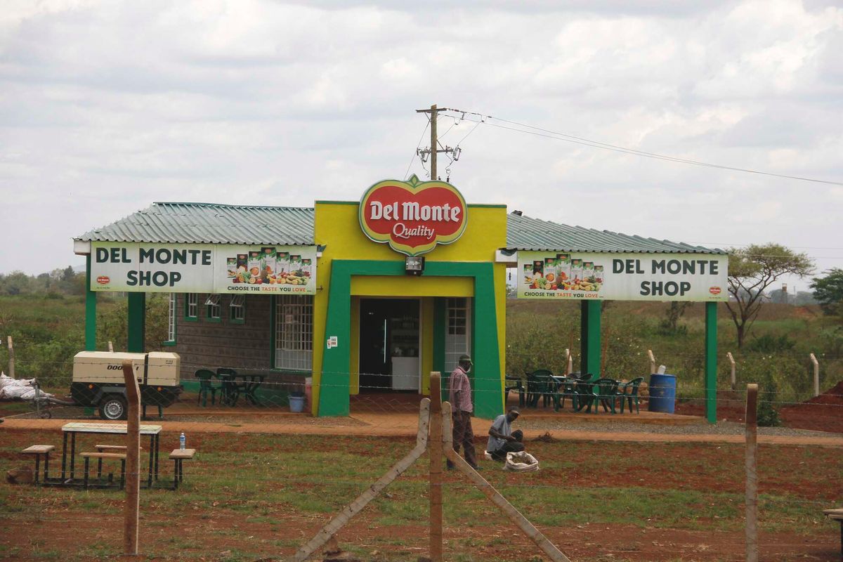 Land CS summoned over 977 acres ceded by Delmonte - Business Daily