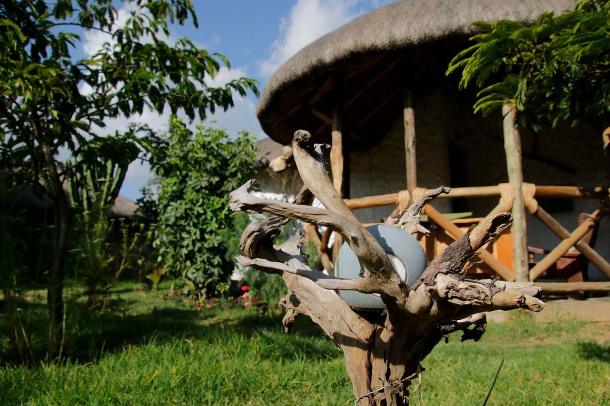 Landscaper turns love for indigenous trees into eco-tourism hub ...