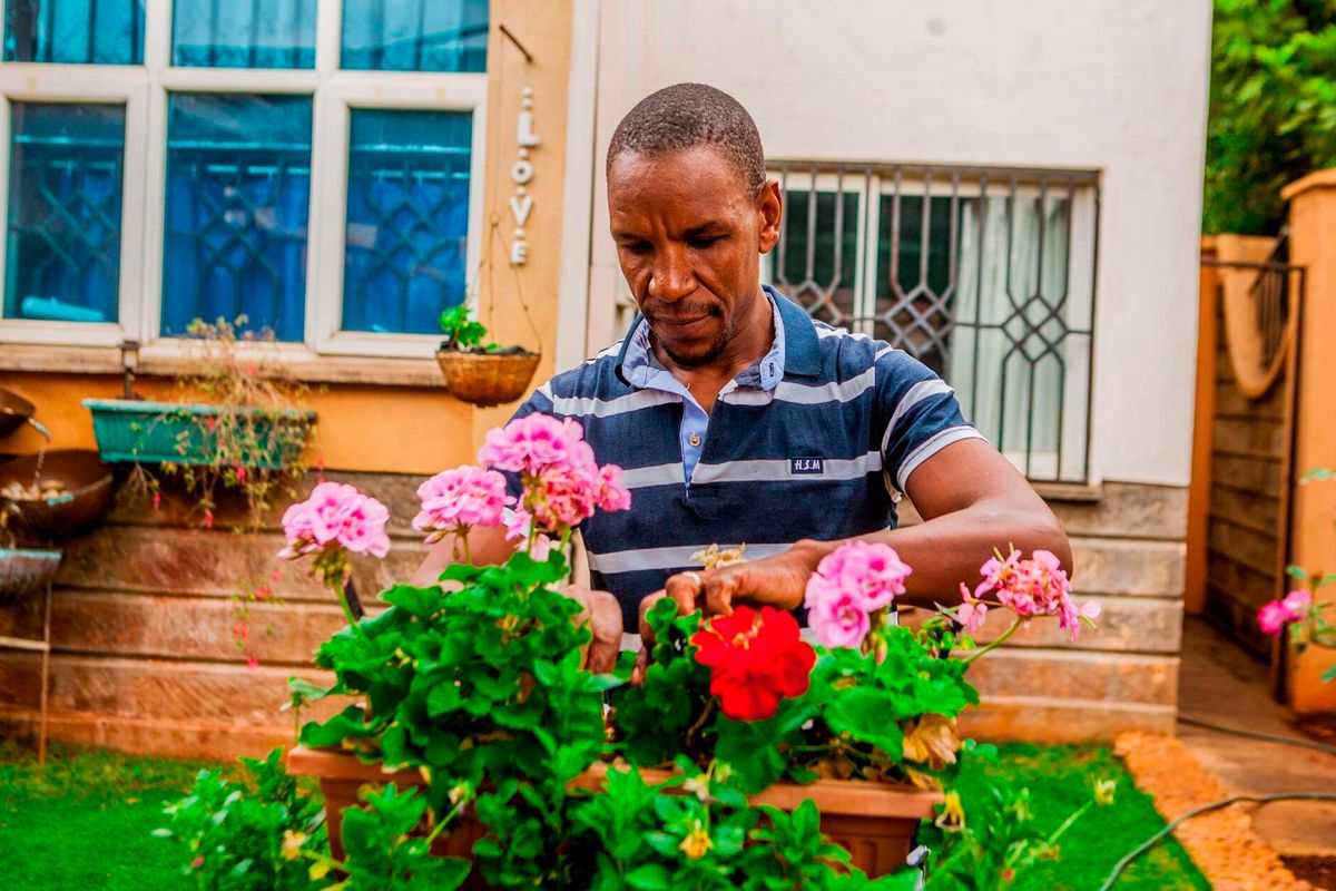 Anthony, the gardener who earns tidy sum from unique designs - Business ...