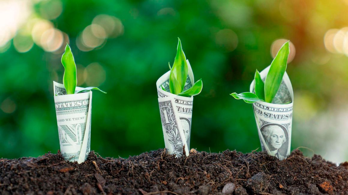 Kenya’s plan to unlock carbon credit market - Business Daily