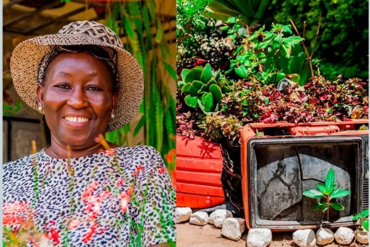 Rose creates an oasis in arid Athi River - Business Daily