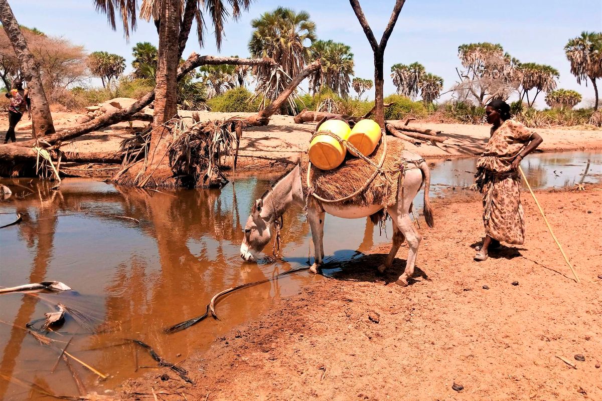 Roadmap for successful public, private partnerships on water - Business ...