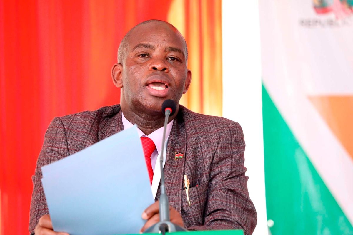 Kephis to hire more staff in fake seeds war - Business Daily