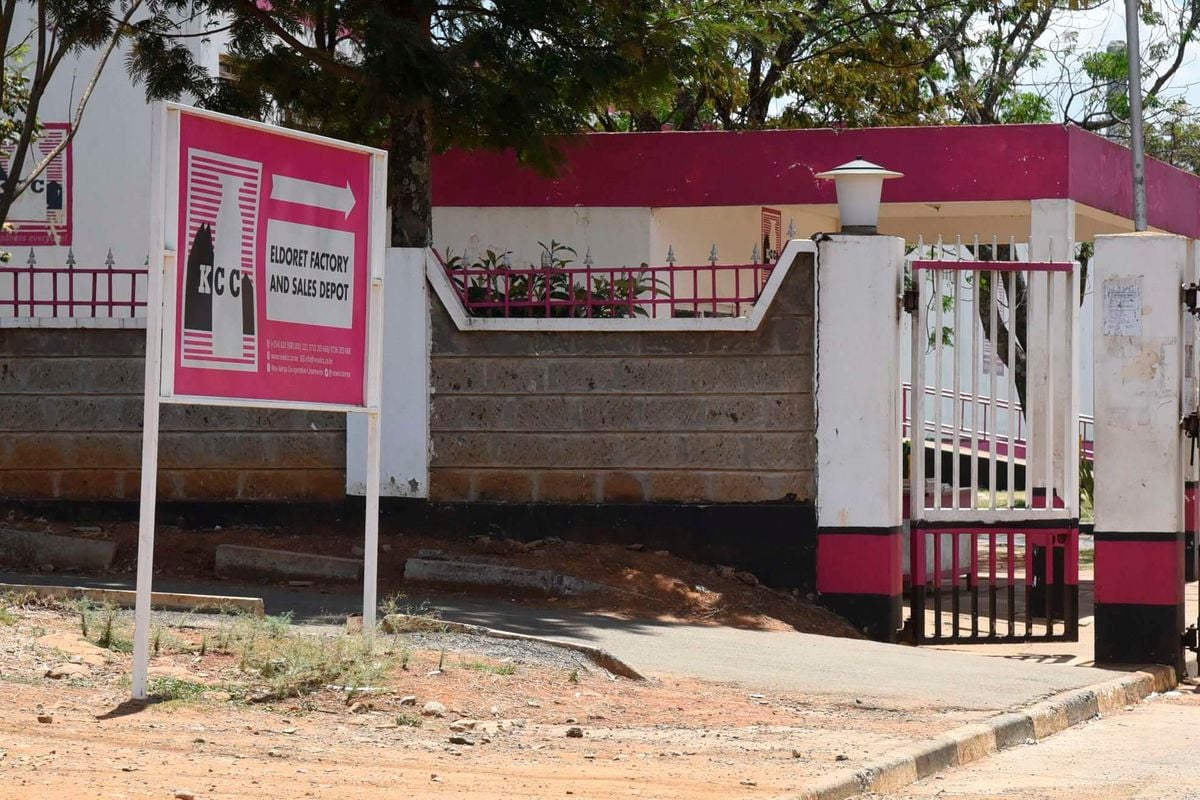 New KCC raises farm-gate prices by Sh5 a litre - Business Daily