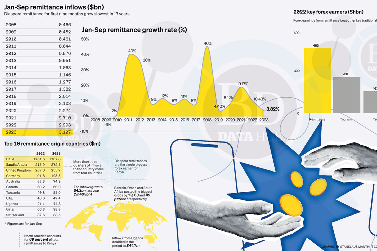 Diaspora inflows grow slowest in 13 years - Business Daily
