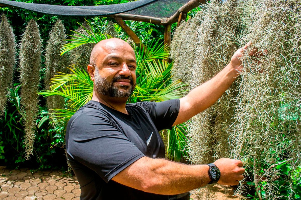 My all potted garden: How I planted over 500 flowers in pots - Business ...