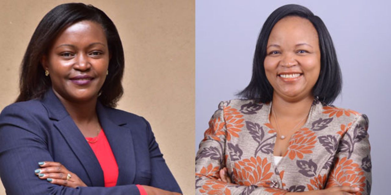 Family Bank CEO Rebecca Mbithi exits after five years - Business Daily