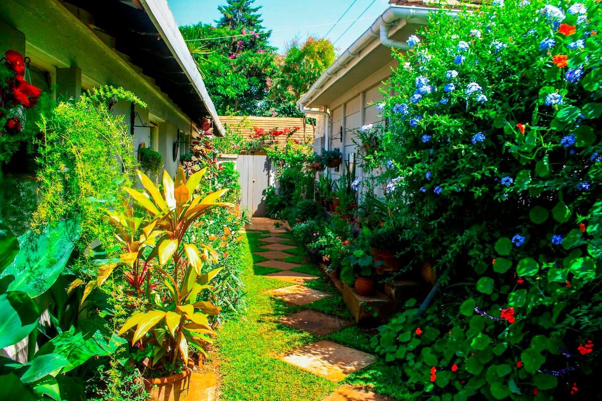 YouTube gardener grows green haven - Business Daily