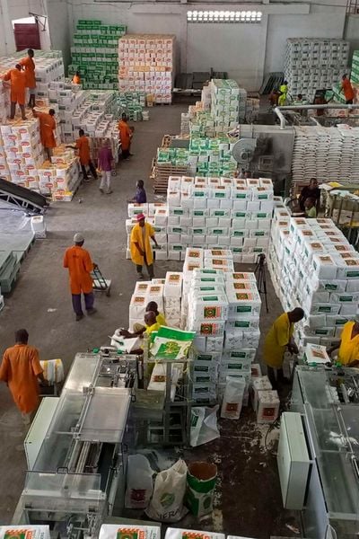 Dola flour maker gets nod to buy out Rafiki Millers - Business Daily