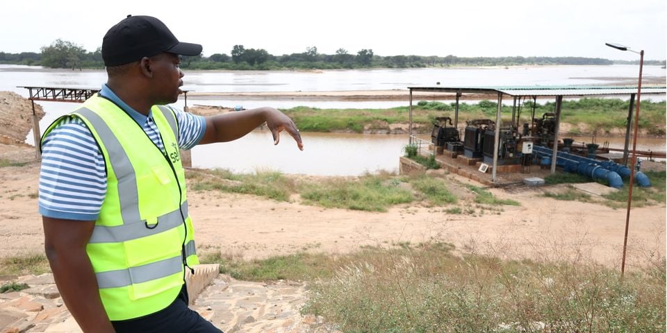 Selu rekindles Galana Kulalu food security dream with record yield ...