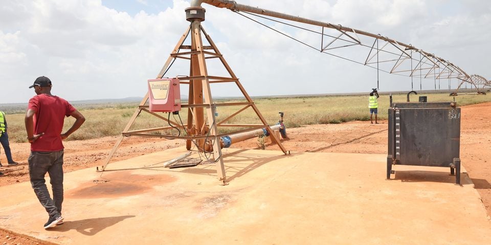 Selu rekindles Galana Kulalu food security dream with record yield ...