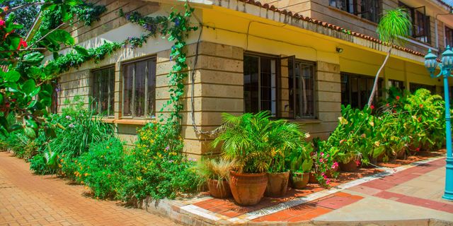 Pushpa Ratna's 31 years of tough love plant parenting - Business Daily