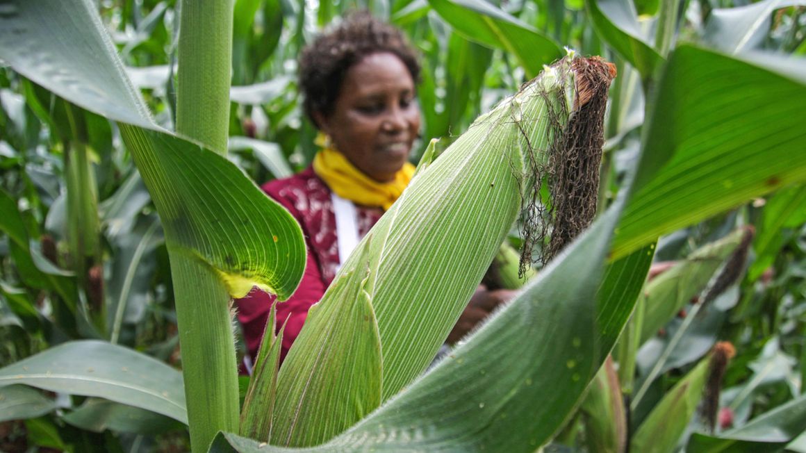 Health - Business Daily