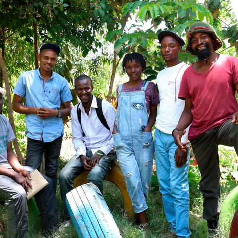 Gardening - Business Daily