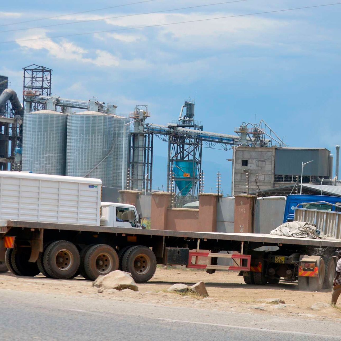 Rai firm bags new Sh29m Rerec wooden poles supply deal - Business Daily