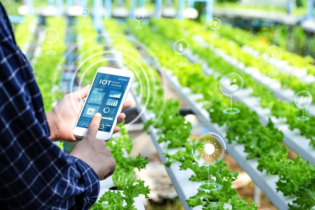 Leveraging tech for agribusiness - Business Daily