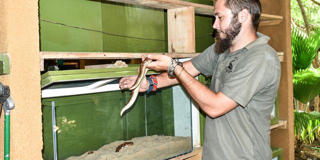 The man who is most at home at a snakes farm - Business Daily