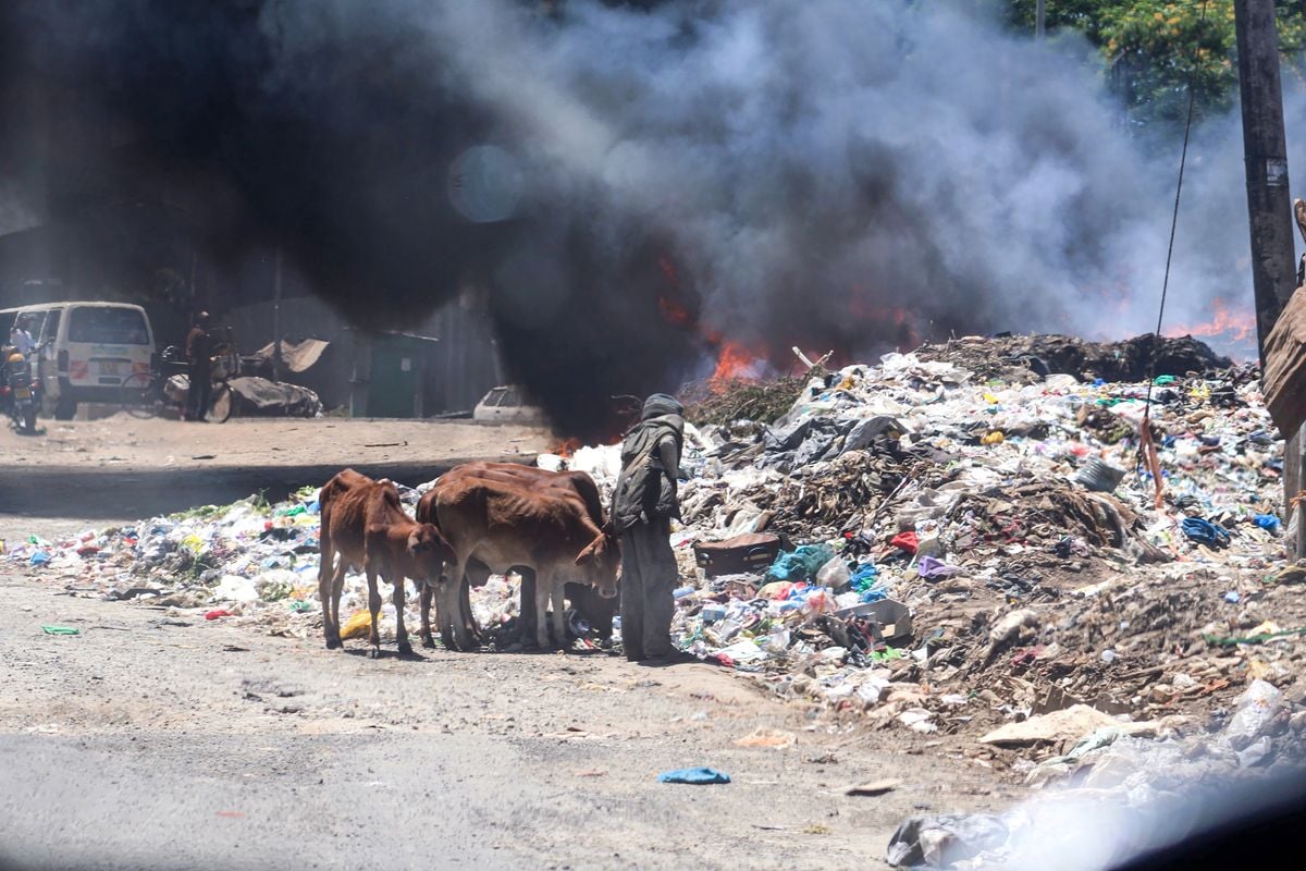 Garbage collection cost to rise as Nema bans plastic bags for organic ...