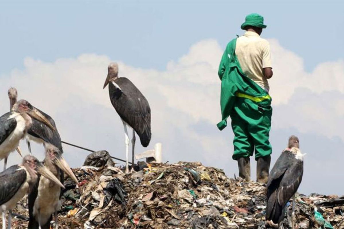 Global Plastics Treaty must address social and environmental injustices ...
