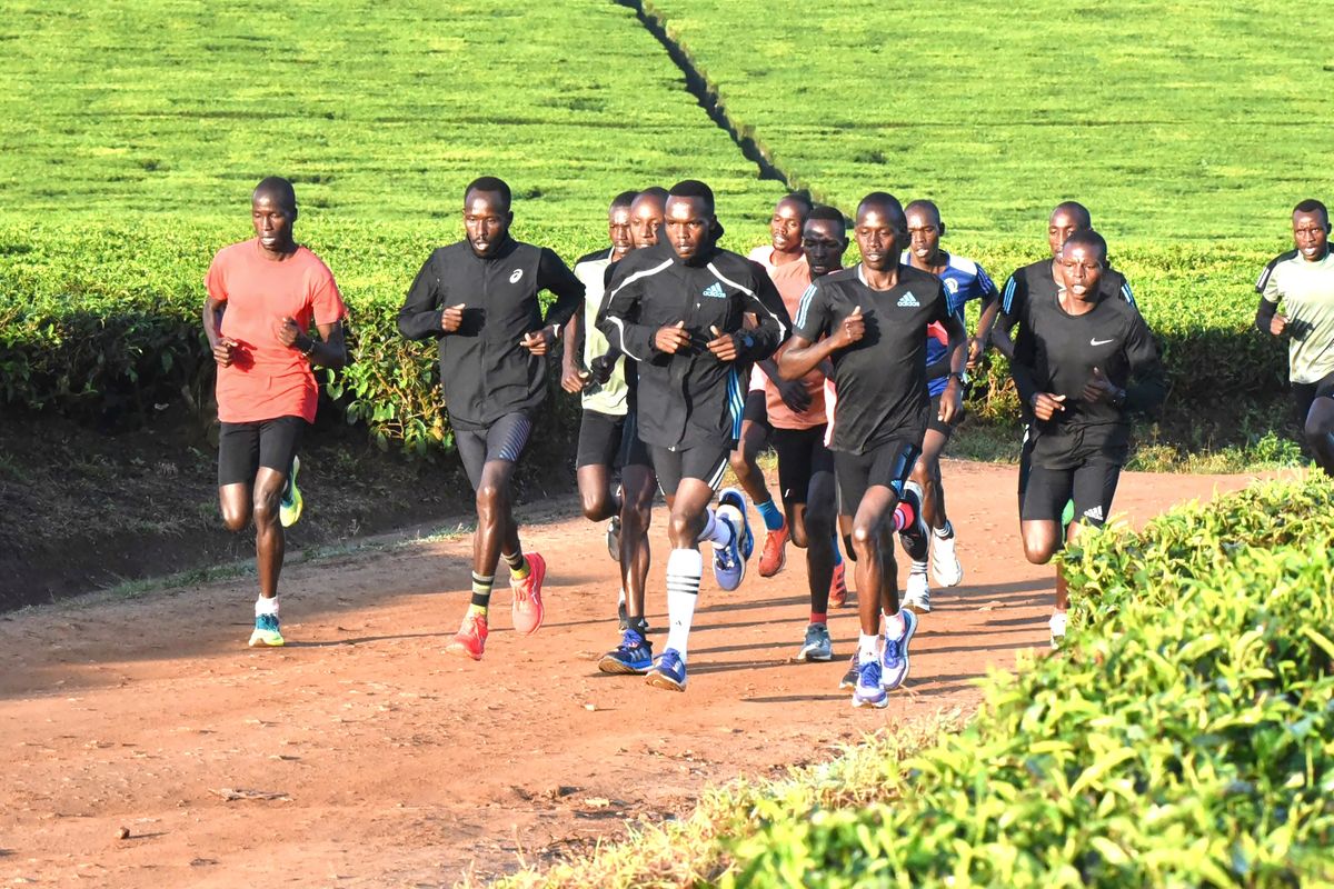 Running right: Tips from Kenya's top sprint coach - Business Daily