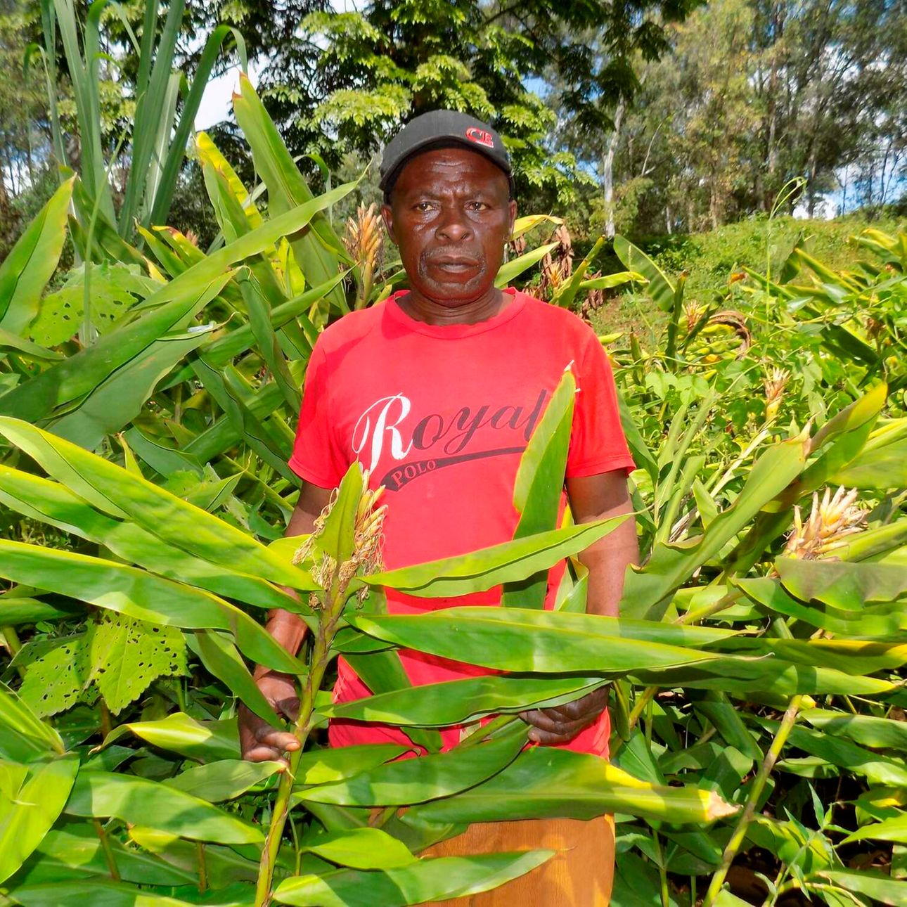 Enterprise - Business Daily