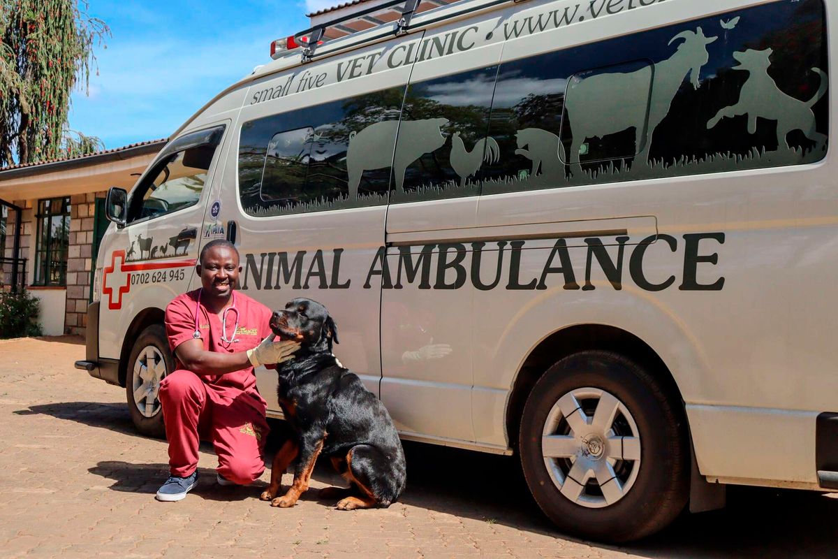 Pet ambulances: Vets tap demand for emergency care - Business Daily