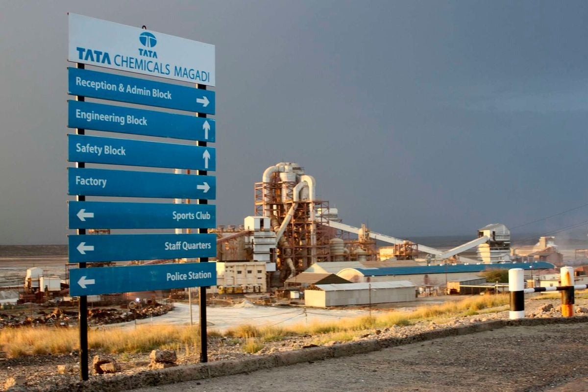 Tata Chemicals to triple Magadi soda production in Sh3.6bn drive ...