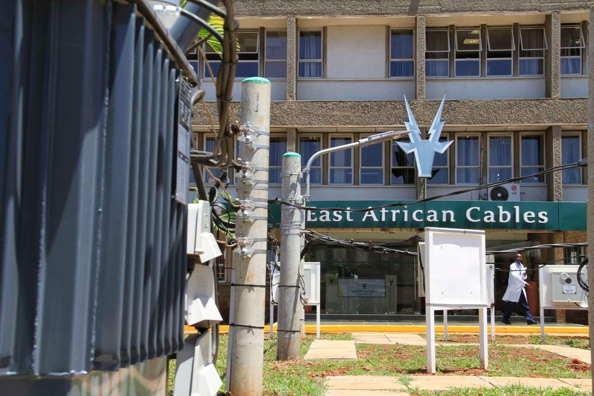 EA Cables seeks new Sh1.9bn loan amid administration relief - Business ...