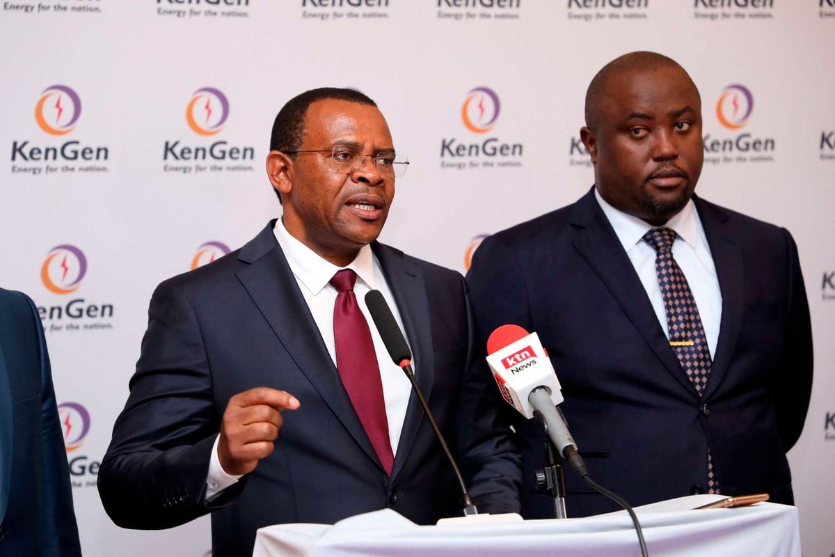 Concessional loans to fund bulk of KenGen projects - Business Daily