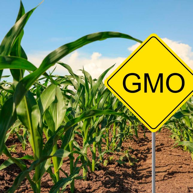 Commodities - Business Daily