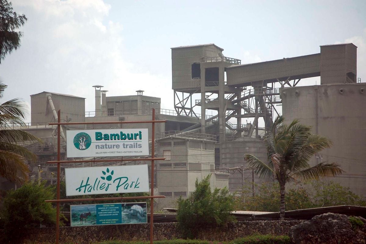 Bamburi shares fall 6.6pc ahead of NSE trading suspension - Business Daily