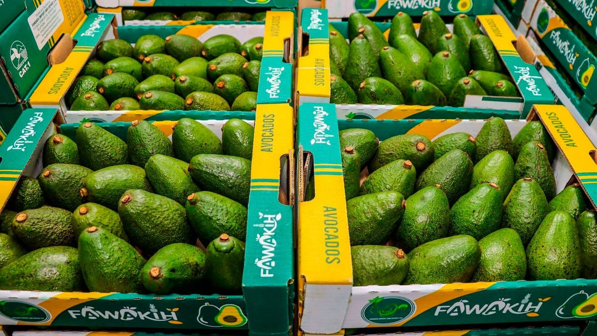 Markets & Finance - Business Daily