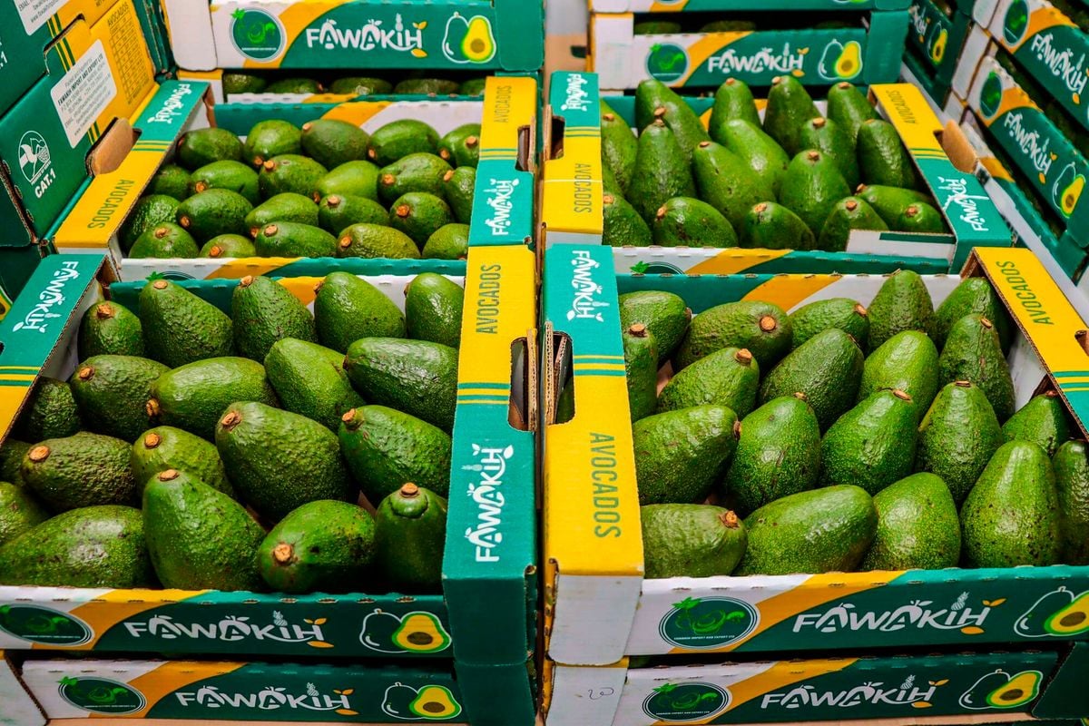 UAE, Spain, Saudi Arabia, emerge as export market options for horticulture - Business Daily