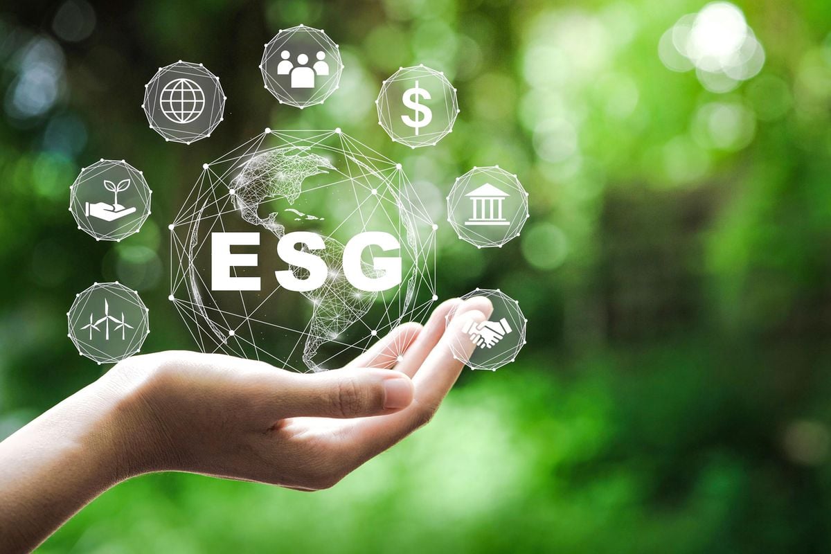 Business sustainability trends to watch in 2025 - Business Daily