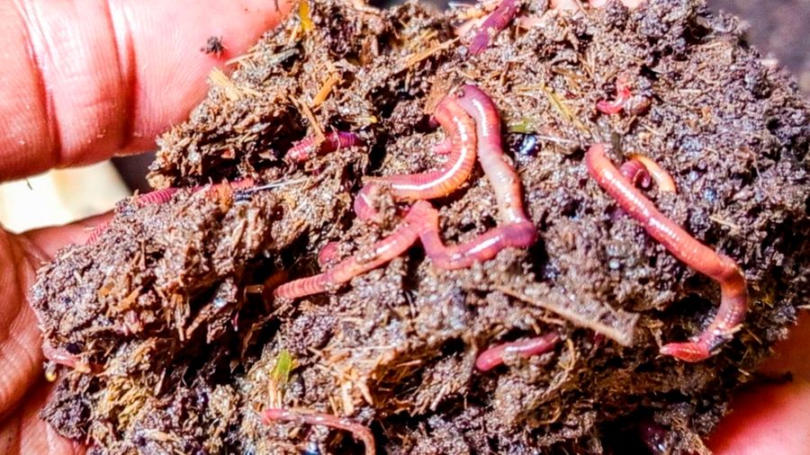 Corporate - Business Daily