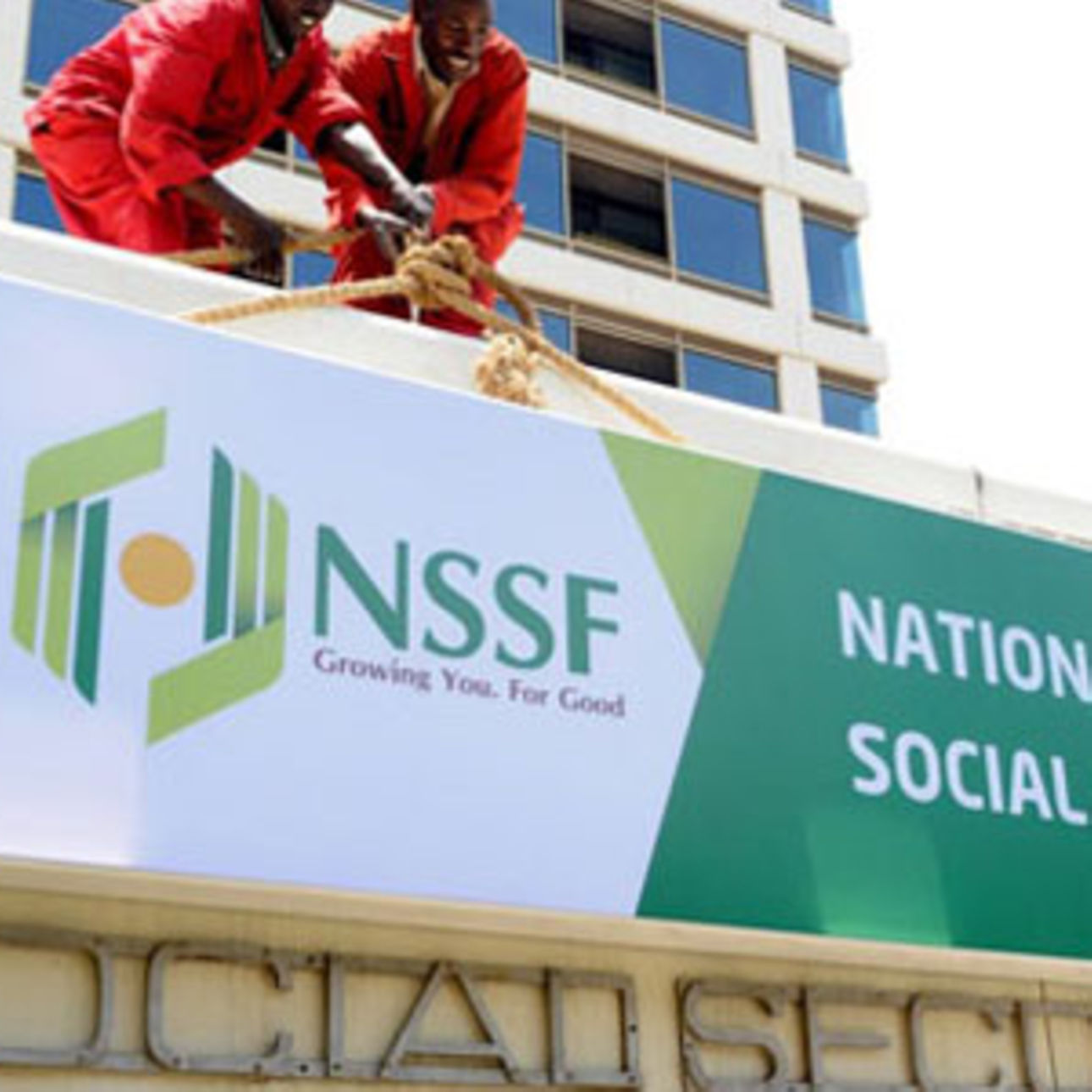 Columnists - Business Daily