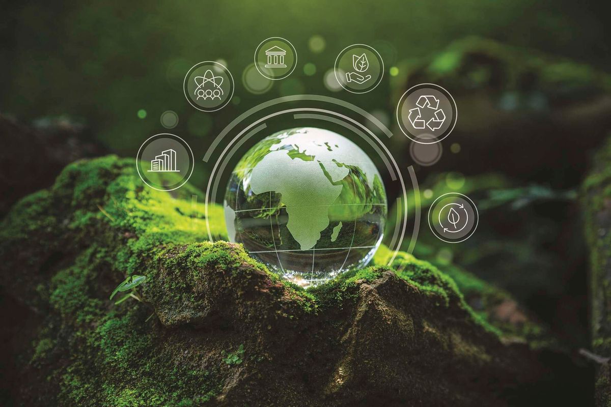 Making sustainability rewarding without hurting future viability ...