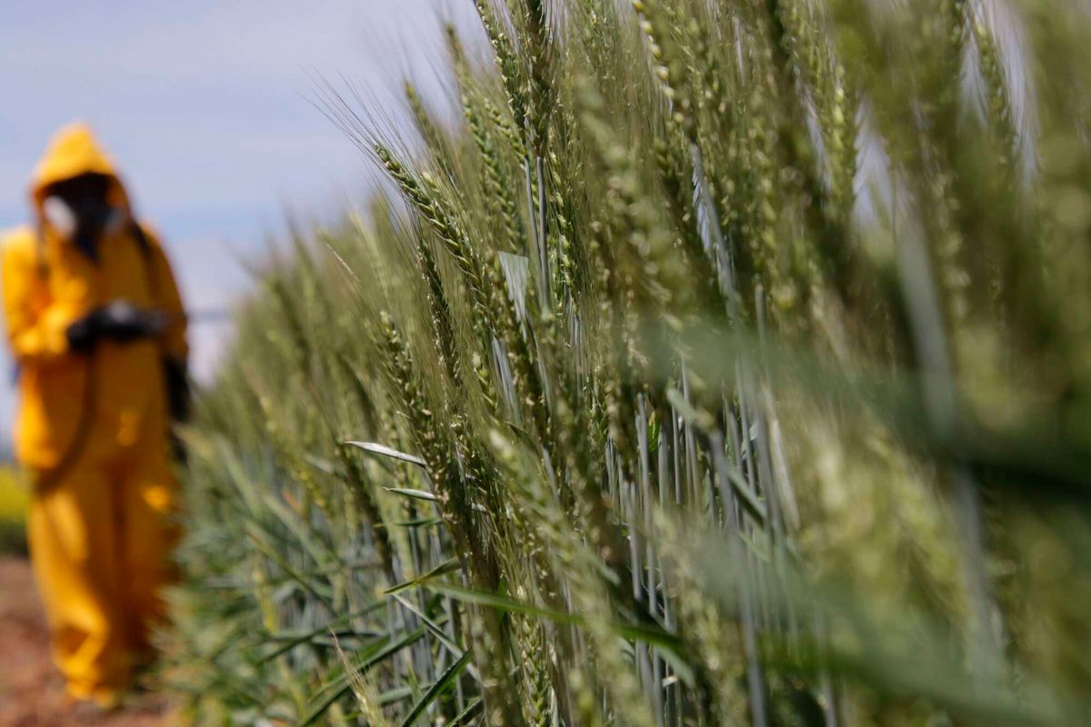 French firm acquires Dudutech for Sh1.1bn - Business Daily