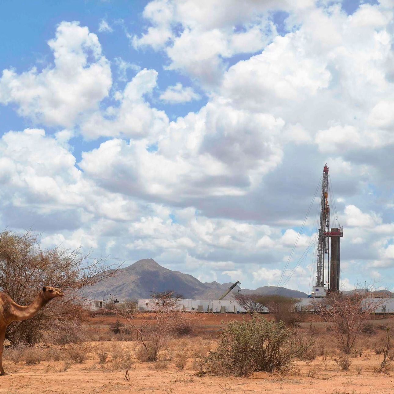 Tullow Oil signs Sh15bn Kenyan assets sale deal to Gulf Energy ...