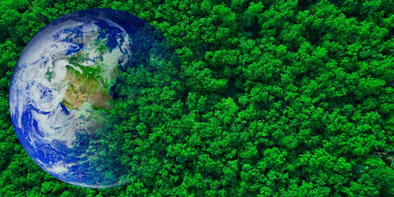 Revisiting SDGs as 2030 inches closer - Business Daily