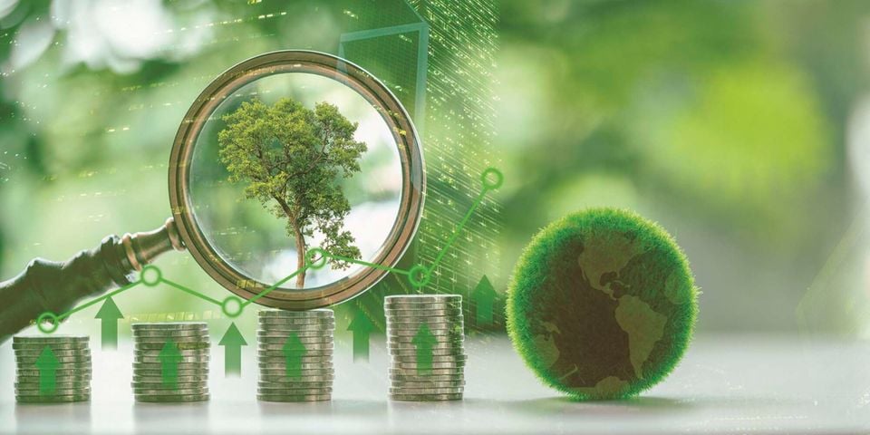 Why CBK’s new green finance rules matter now more than ever - Business ...