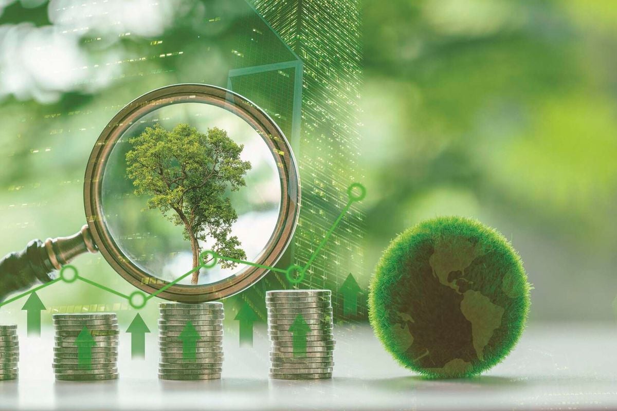 Why CBK’s new green finance rules matter now more than ever - Business ...