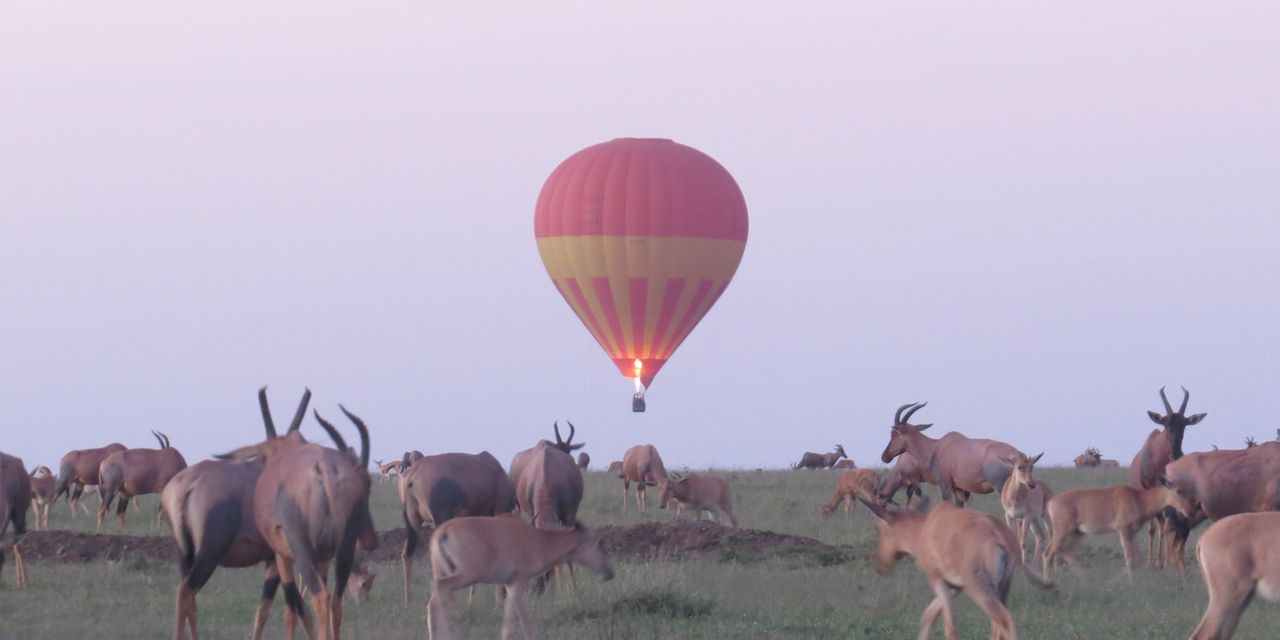 Mara hot air balloon operators escalate legal fight with new rival ...
