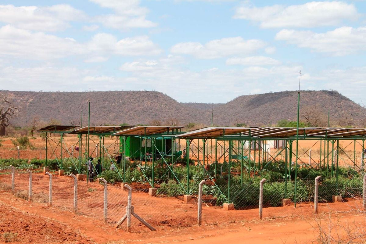 The city slicker’s guide to not losing money on a farm project ...