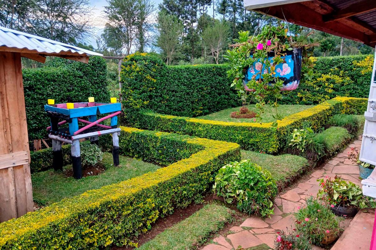 ‘Hustler’s Mansion’ in bloom: The garden that others mocked becomes a ...