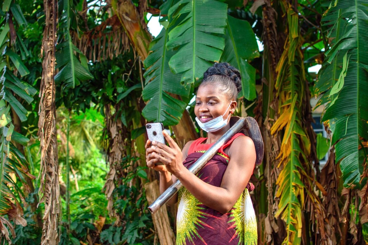 Young Kenyans ditch city life for farming upcountry - Business Daily