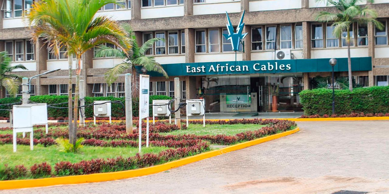 CMA freezes E. African Cables, TransCentury shares trading - Business Daily