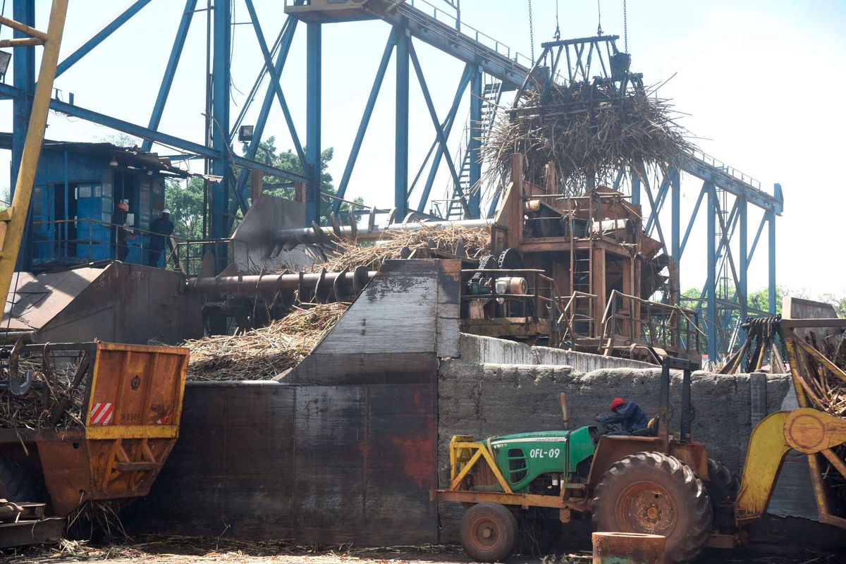 Factories shut for 3 months to allow cane to mature - Business Daily