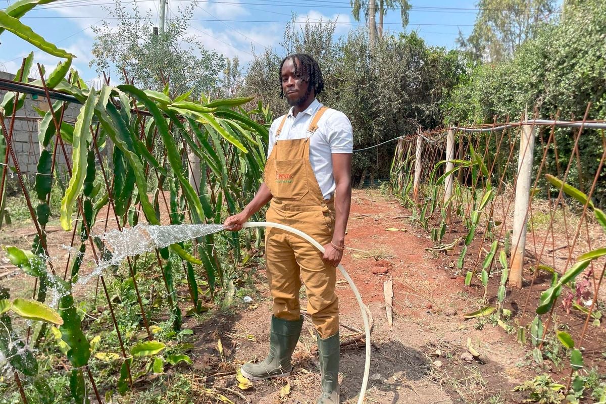 Agri-digital assets passion: Kenya’s first edible crypto cuts middlemen ...